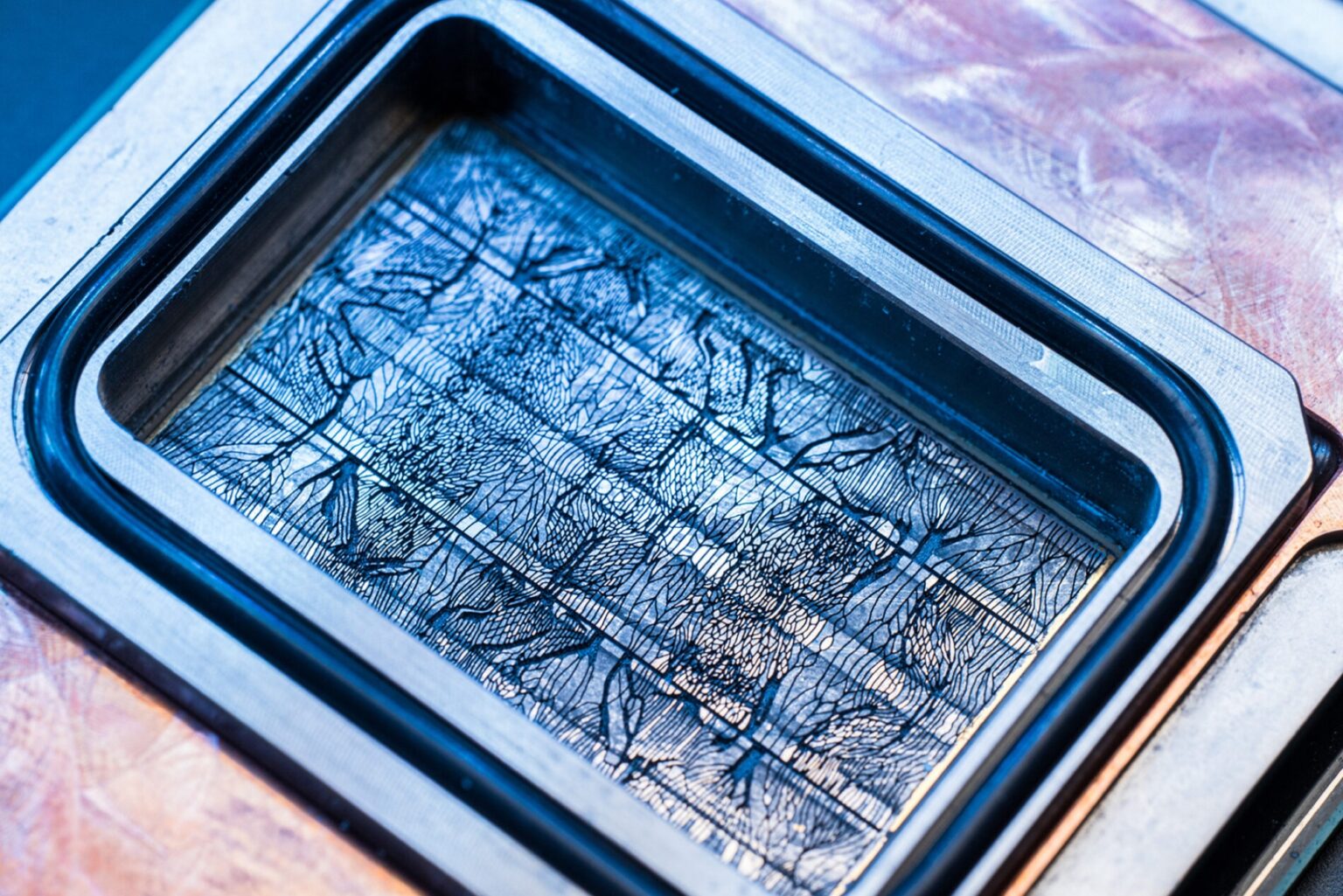 Microsoft Unveils “Breakthrough” Microfluidics Tech For AI Chip Cooling ...